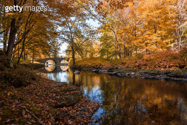 Stone Arch Bridge in Callicoon, NY, Catskill Mountains, surrounded by ...