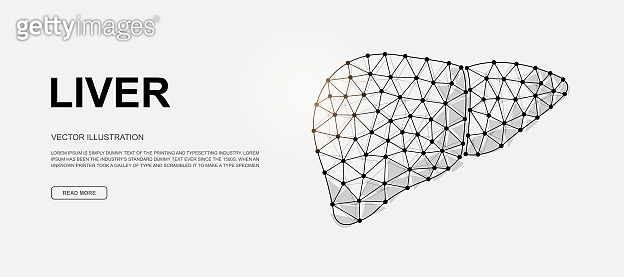 Liver 3d low poly symbol for landing page template. Hepatitis design ...