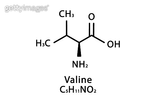Valine molecular structure. Valine skeletal chemical formula. Chemical ...