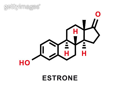 Estrone chemical formula. Estrone chemical molecular structure. Vector ...