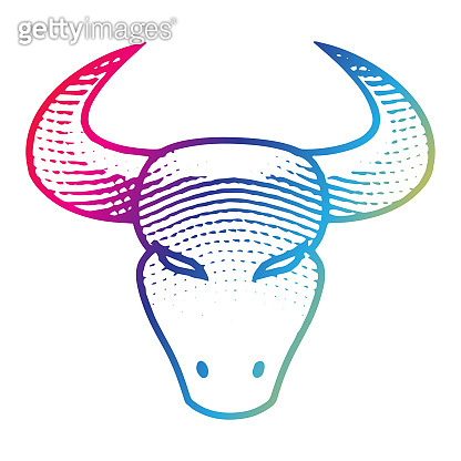 Scratchboard Engraved Bull Front View in Rainbow Colors 이미지 (1436198018 ...