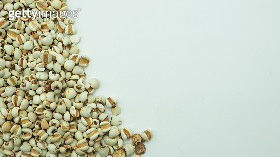 Job's Tears, also known as adlay and coix on white background. Popular ...