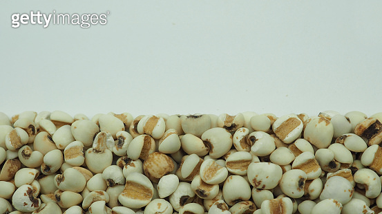 Job's Tears, also known as adlay and coix on white background. Popular ...