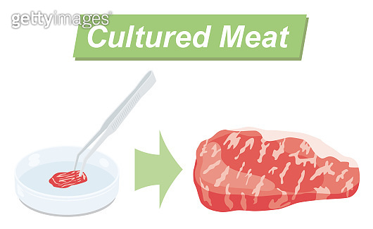 Illustration of the cultured meat. 이미지 (1383002984) - 게티이미지뱅크