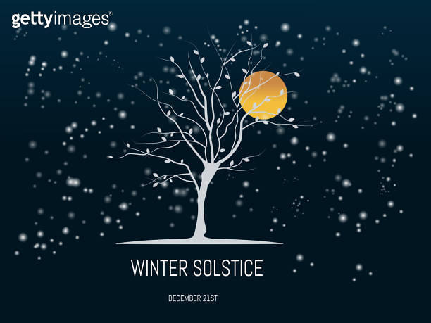 Winter solstice.december 21 .tree,branches with some leaves in white on ...