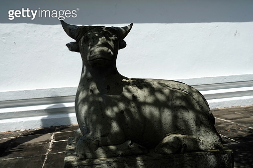 Ancient Cow Statue in the Garden at Wat Arun Temple, Bangkok Thailand ...