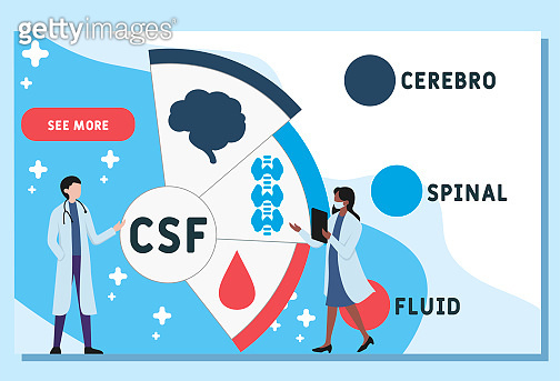 CSF - cerebrospinal fluid acronym 이미지 (1394010480) - 게티이미지뱅크