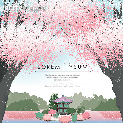 Vector editorial design frame of Korean spring scenery with cherry ...