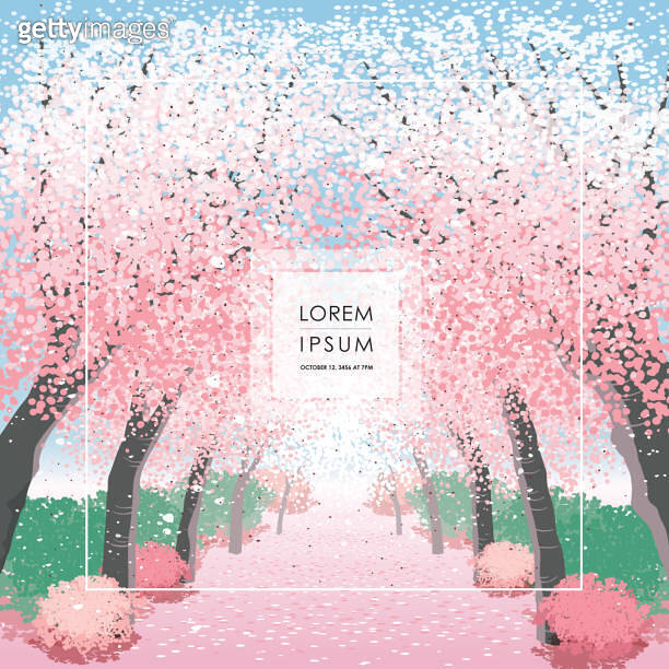 Vector editorial design frame of Korean spring scenery with cherry ...