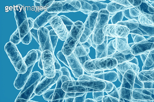 Enterobacteriaceae, gram-negative rod-shaped bacteria, part of ...
