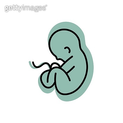 Development of the human embryo in the womb. Trendy flat isolated color ...