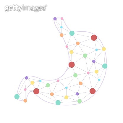 Human stomach dot connected. Healthy human internal digestion organ ...