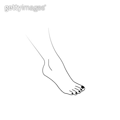 beautiful delicate woman foot fresh pedicure black outline vector ...