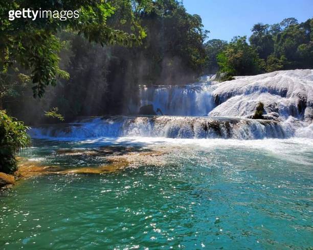 Agua Azul Waterfalls, or also known as Agua Azul Waterfall, is a flora ...