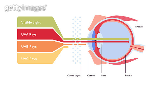 Uv rays and visible light healthcare infographic. Vector flat ...