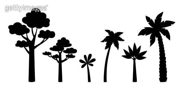 African Trees black vector silhouettes isolated on white background 이미지 ...