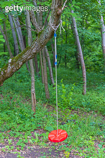 Single Rope Swing 이미지 (1403347408) - 게티이미지뱅크