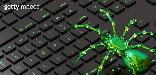 Computer System Hacked Concept, Spider on Keyboard. 이미지 (1400611588 ...