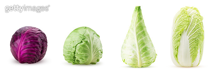 Red and green peking field pointed cabbage 이미지 (1393600557) - 게티이미지뱅크