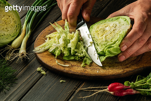Cutting fresh cabbage by chef hands before preparing national or ...