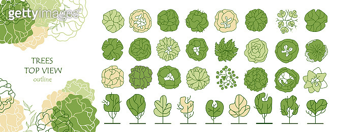 Set of vector trees. Entourage design for the plan. 이미지 (1400065278 ...