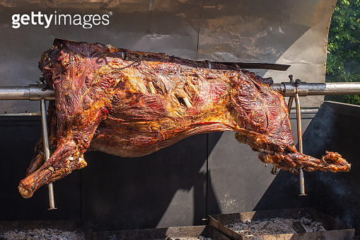 The whole bull grilled traditionally with coal and fire. Roasted bull ...