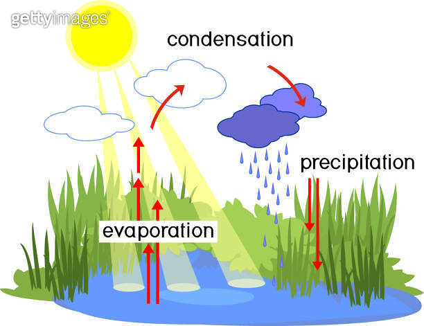 Water cycle. Scheme with water cycle (evaporation, precipitation ...