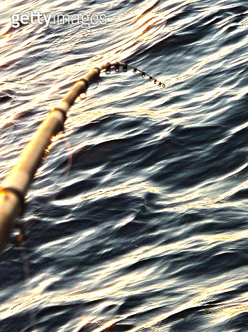 Fishing rod tip glittering receiveing the reflection of the sea surface ...