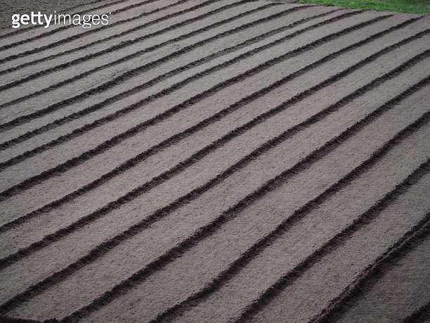 Background and texture of arable land with even rows for planting crops ...