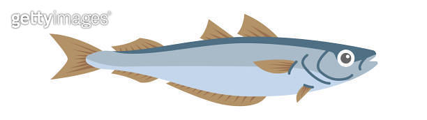 Whiting fish Sea Fish. Vector illustration (1440269244) 일러스트, 무료 일러스트 ...