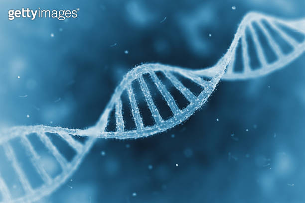 DNA. Microscope Slide. 이미지 (1437735679) - 게티이미지뱅크