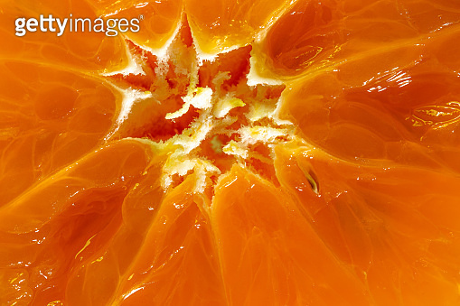 macro orange texture,Slice of citrus fruit with backlit, abstract macro ...