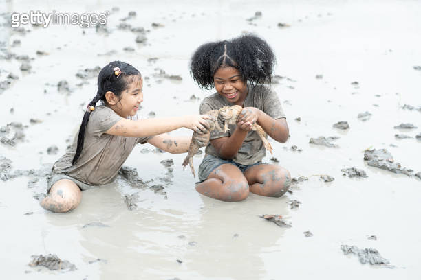 Happy children child girl catching big frog in the large wet mud puddle ...