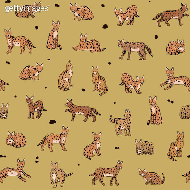 Serval african cat vector seamless pattern. 이미지 (1394068317) - 게티이미지뱅크