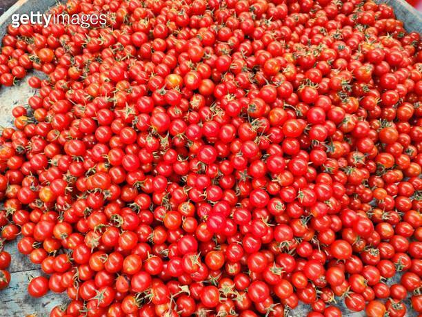 Organic small sweet cherry tomatoes for sale at Istanbul turkey 이미지 ...