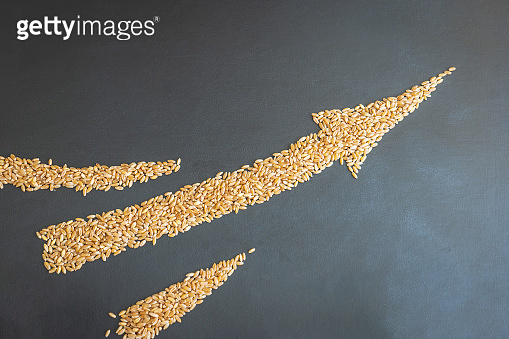 wheat grain directional arrow shape price concept overhead 이미지 ...