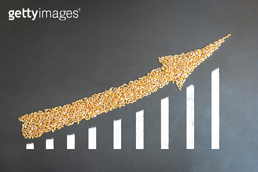 wheat grain directional arrow shape price concept overhead (1406329928 ...