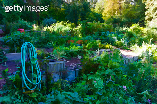 Seattle Pea Patch Garden Illustration (1423653297) - 게티이미지뱅크