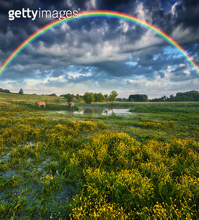 Landscape with a Rainbow on the River in Spring. colorful morning ...