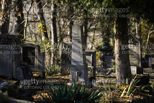 Details with tombs, tombstones and vegetation from the old saxon ...
