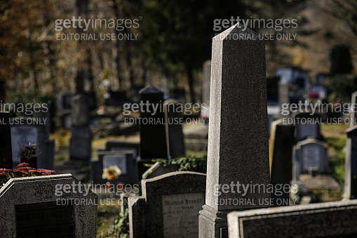 Details with tombs, tombstones and vegetation from the old saxon ...