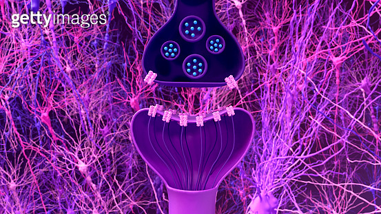 Synapse and neuron. Transmission of the nerve signal between two neurons with axon and synapse ...