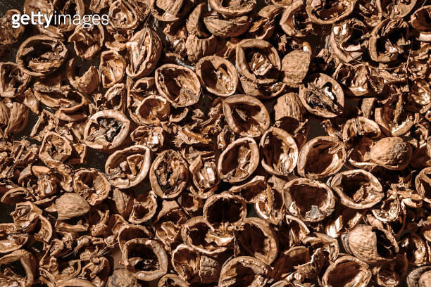 A lot of empty walnut shell. Textured background. Alternative fuel ...