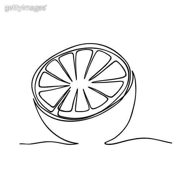 one line orange fruit illustration drawing. line art orange piece ...