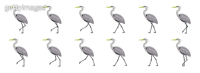 Great Blue Heron Walking Motion Animation Sequence Cartoon Vector ...