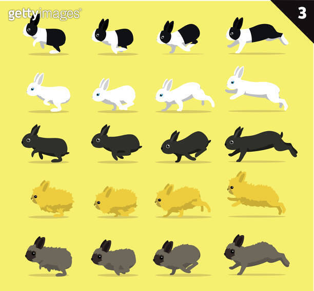 Animal Animation Sequence Various Rabbit Cartoon Vector Moving Set 3 ...