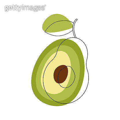 Avocado outline. Exotic fruit from lines. Colored sketch of an avocado ...