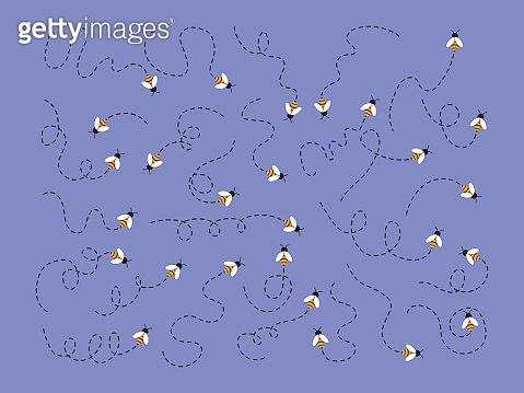 Bumble bee flight path. Vector set. Direction of the insect, dotted ...