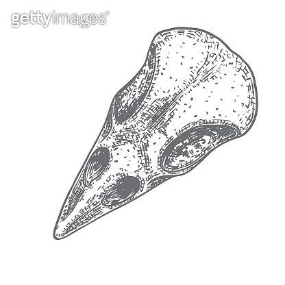 Crow skull. Hand drawn bird skull, line art sketch of raven animal head ...