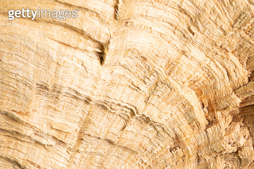 Dark wood texture background surface with imperfections. Old natural ...